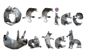Nekofont - the cat font - Office Watch