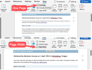 Zoom Options in Microsoft Word: Every View Setting Explained - Office Watch